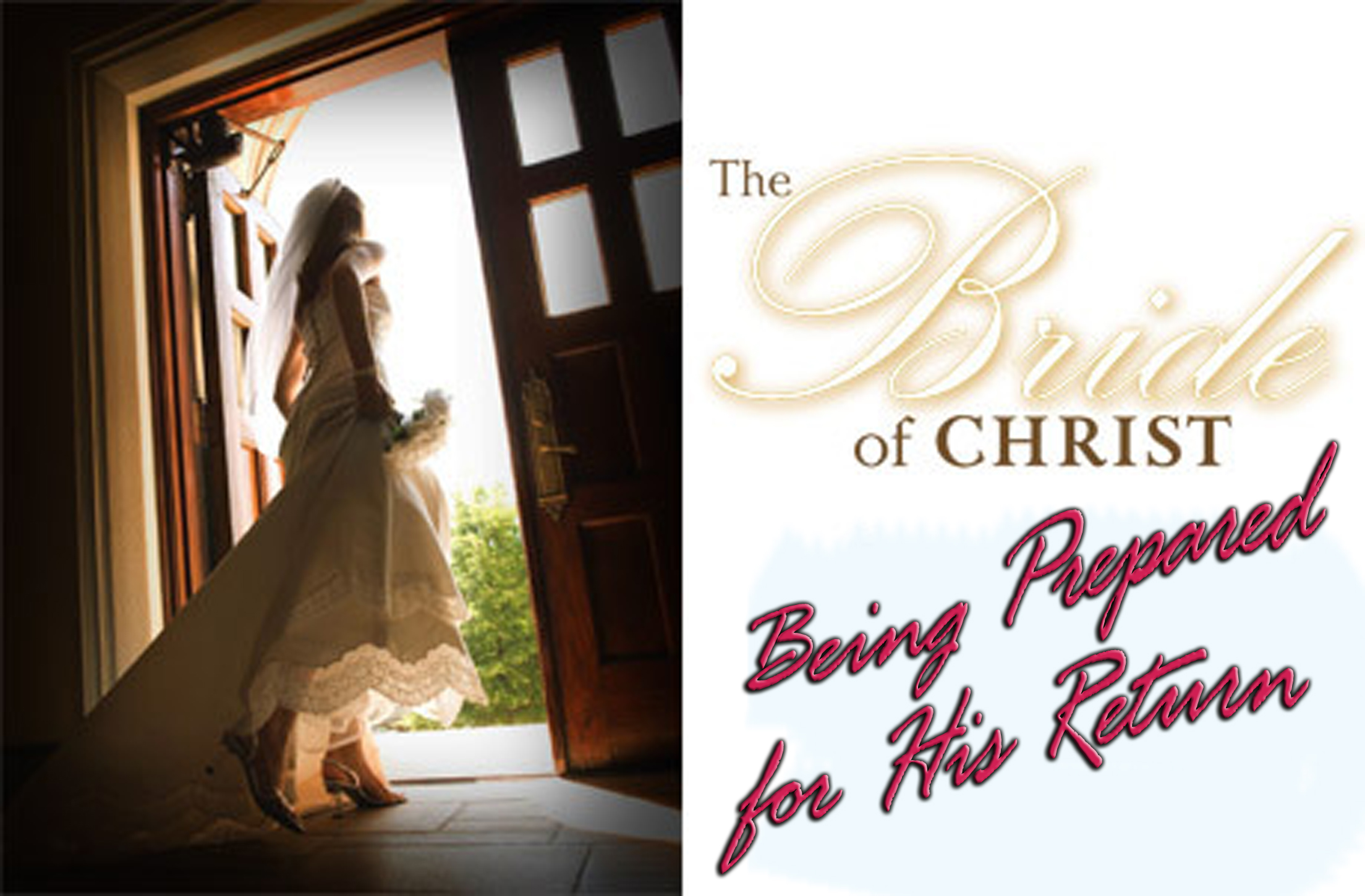 Bride of Christ | Loving the Word with the MudPreacher