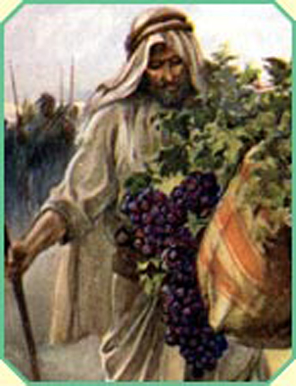 Caleb – Climbing Mountains, Killing Giants | Loving the Word with the ...