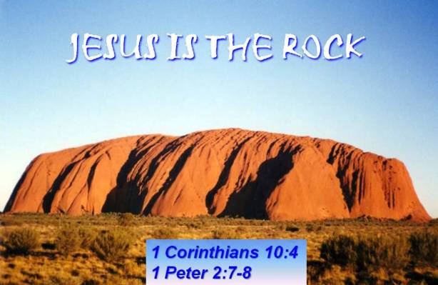 Peter – the Disciple Who Was All Aboard! | Loving the Word with the ...