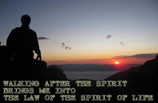 Walking After the Spirit | Loving the Word with the MudPreacher