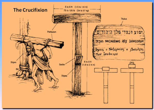 The Crucifixion of Jesus in Excruciating Detail | Loving the Word with ...